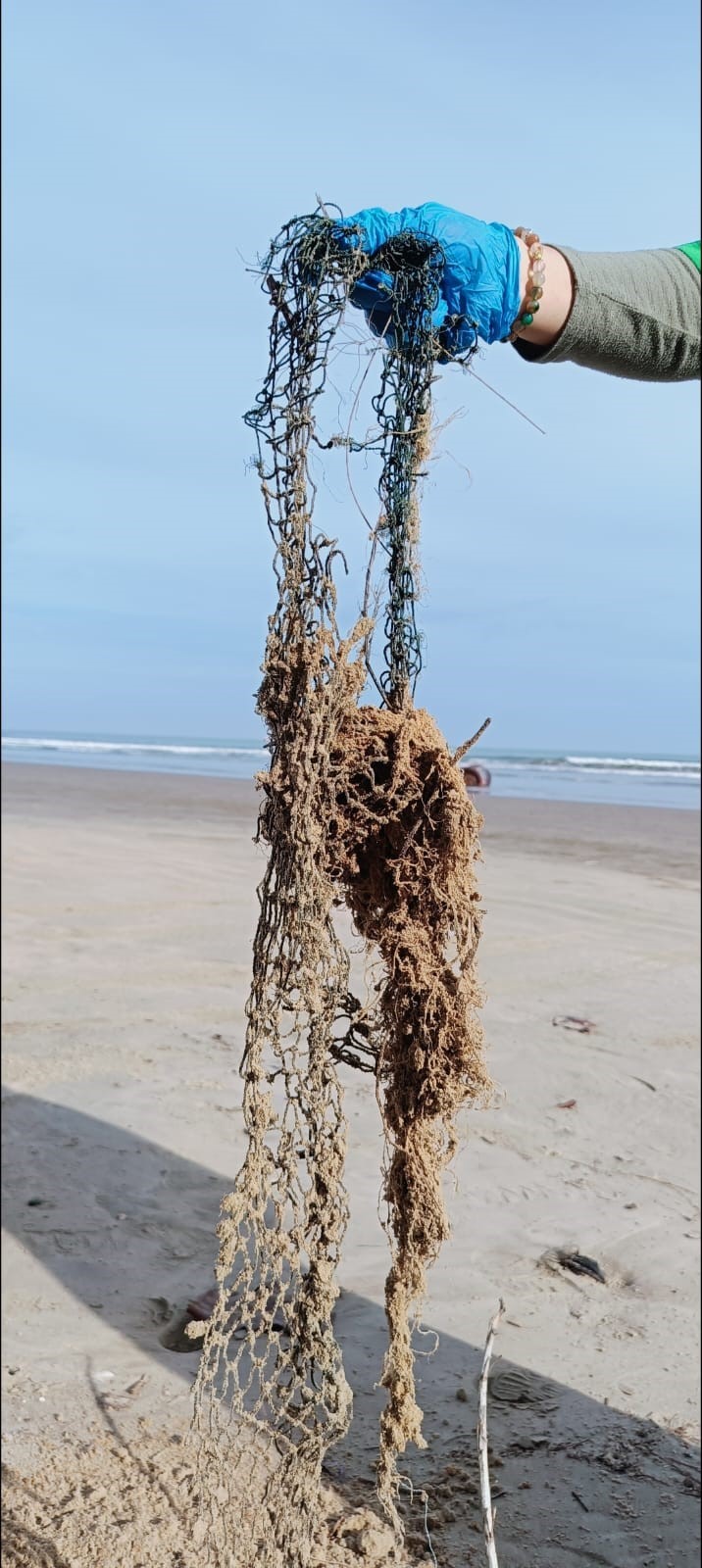 Brunei Fellows “A4 Awareness and Action” conducted a beach cleaning ...