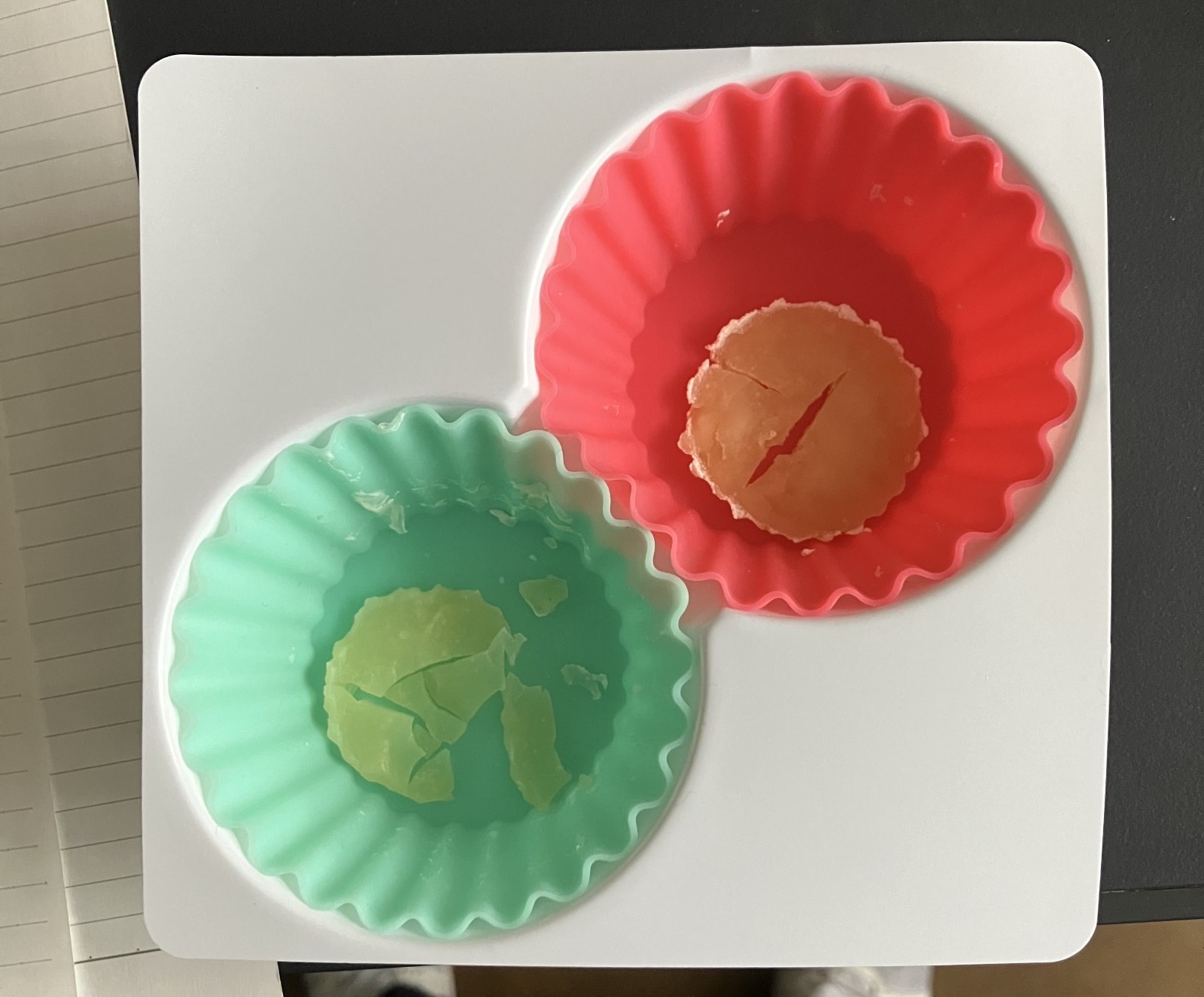 AJYELN Japan Fellows Demonstrate How to Make Casein Plastics in a Video ...